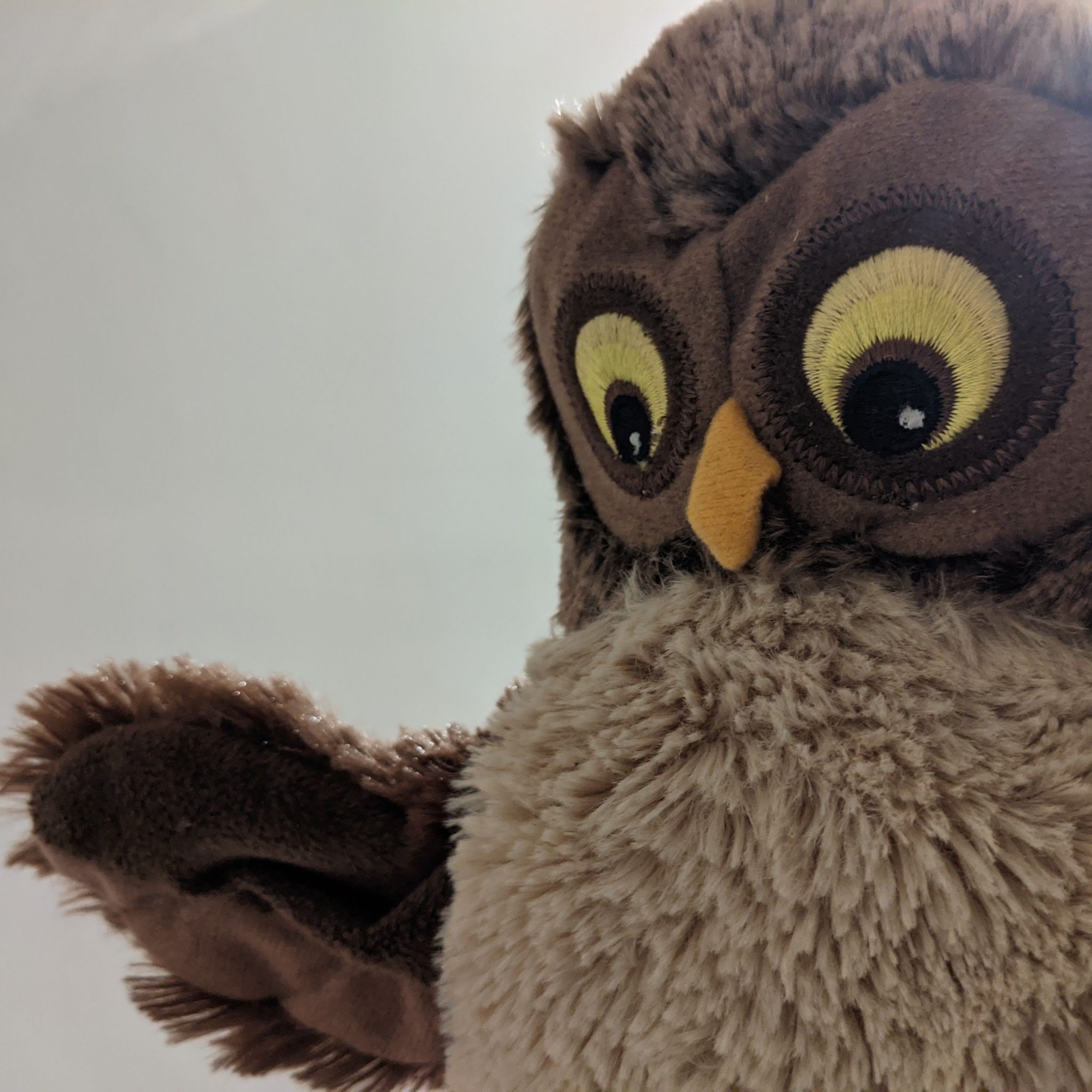 Hou, hou, … C’est moi le hibou ! | Moi et ma maison